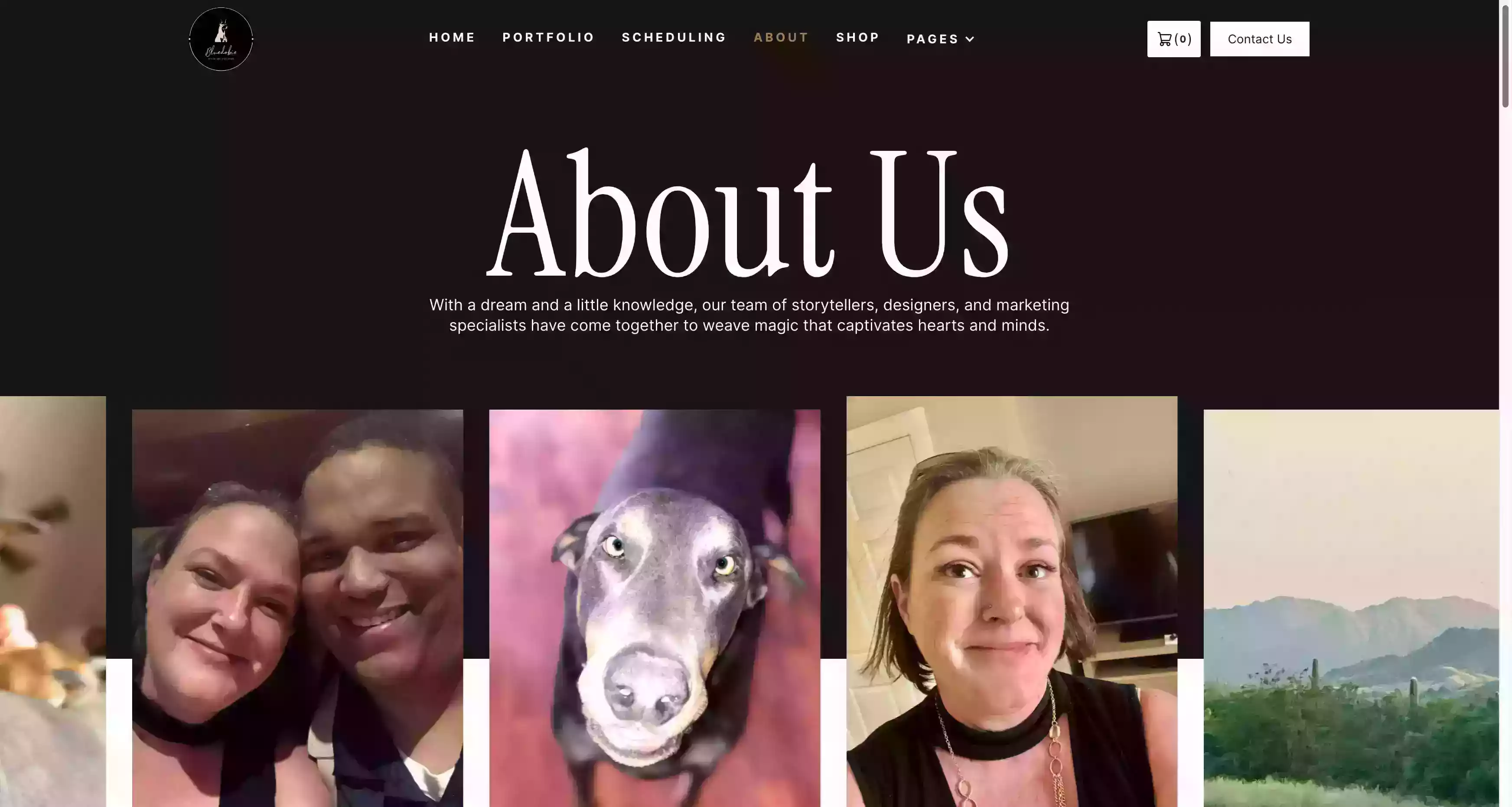 About Us: Developer Profile | KY: Bluedobie Developing